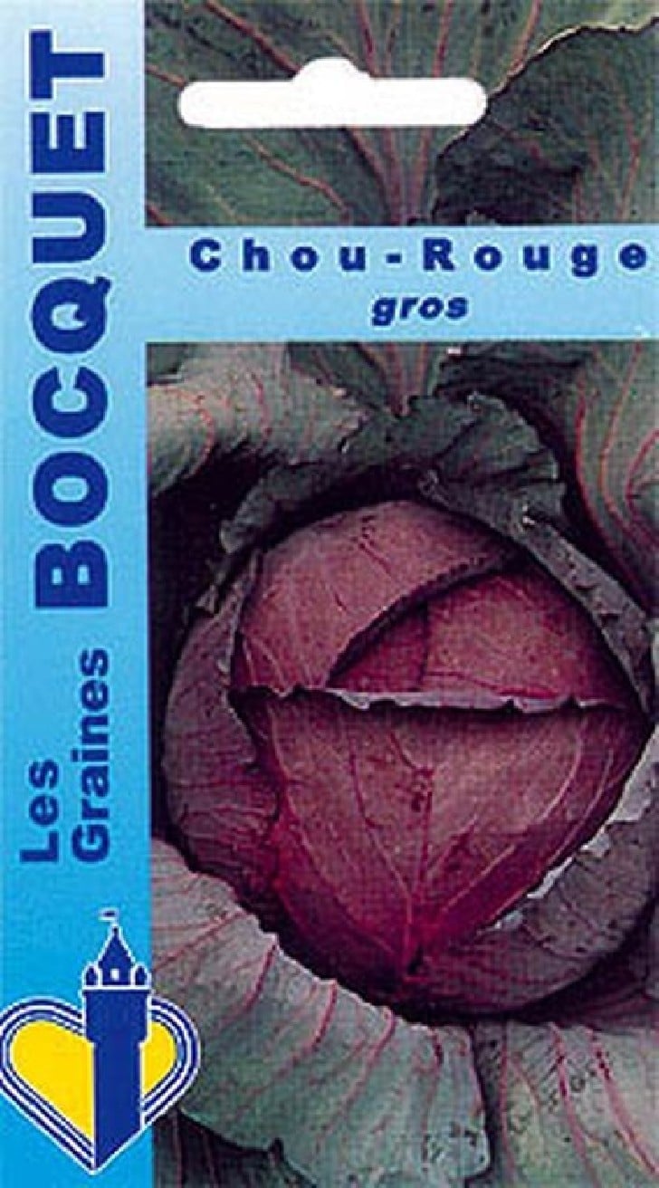 Graines de Chou rouge gros à semer au potager | Graines Bocquet